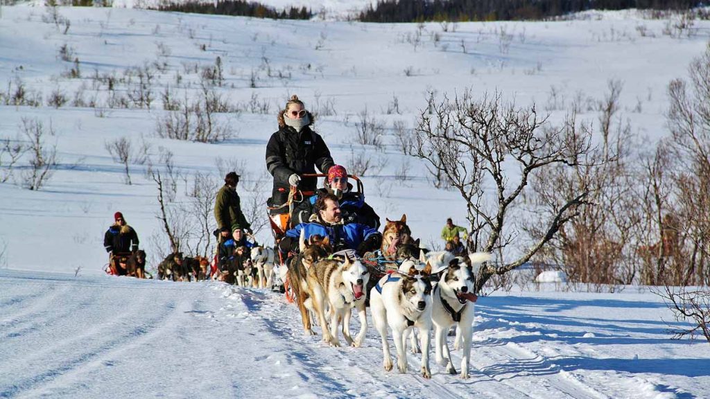 Así es el Tour con trineo de perros en Noruega: opiniones, precios
