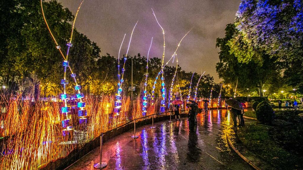 Luz Madrid 2024: cuándo y dónde ver los espectáculos de arte y luz