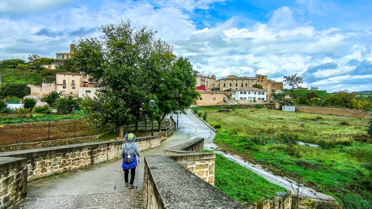 Camino de Santiago en Navarre : quel itinéraire choisir et les ...