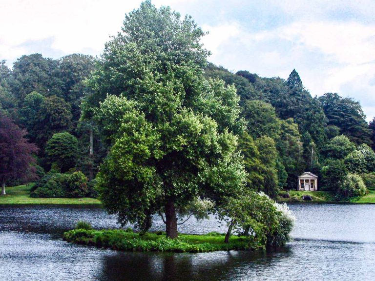 How to visit and what to see in Stourhead Gardens, an orchard in the ...